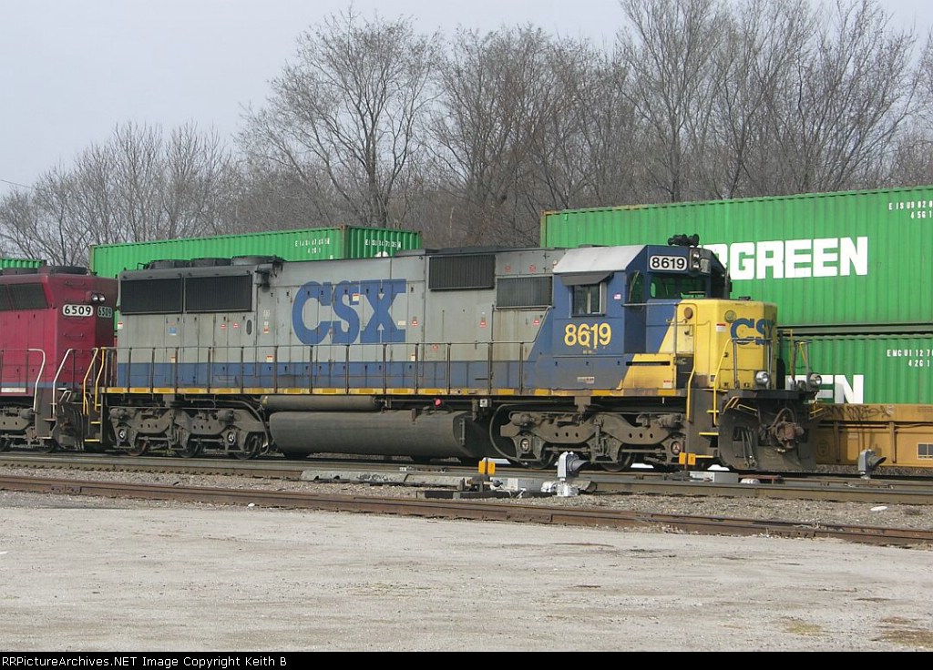 CSX 8619